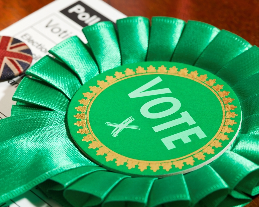 Building back better: what does Green election success tell us ...
