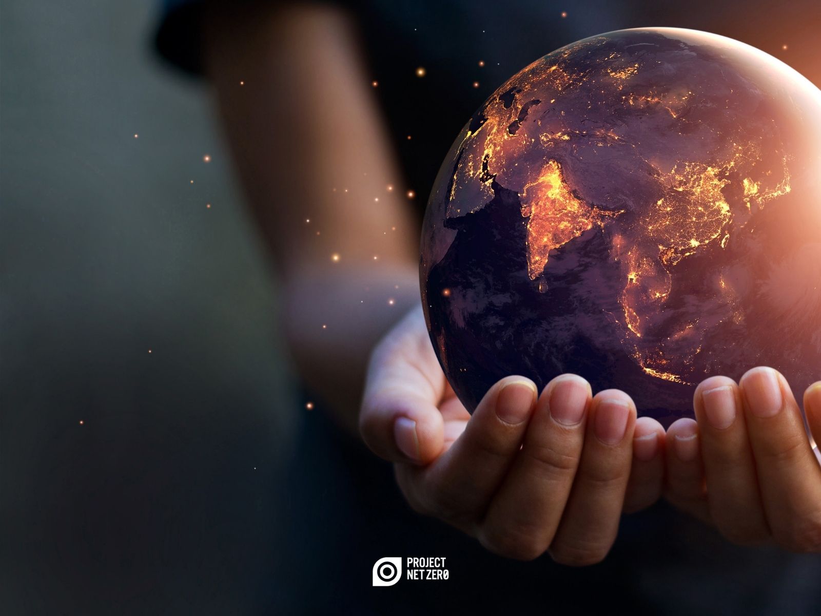 Net Zero FAQs | Project Net Zero | Climate Policy and Insights